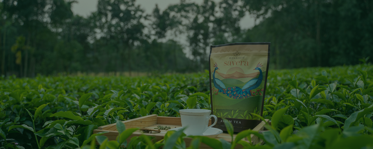 Morbagh Tea
